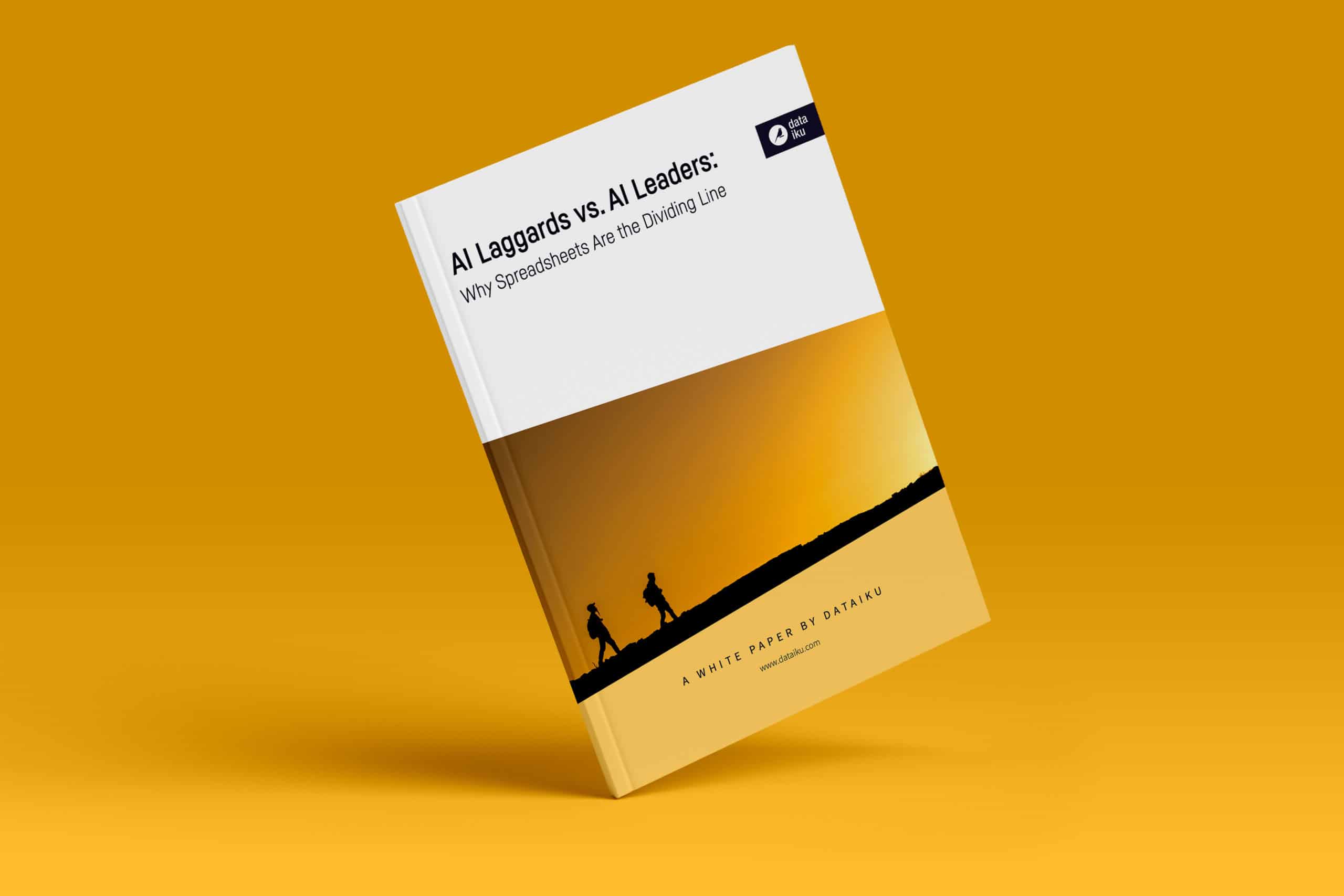 Dataiku Whitepaper Cover - Gosling Design Studio